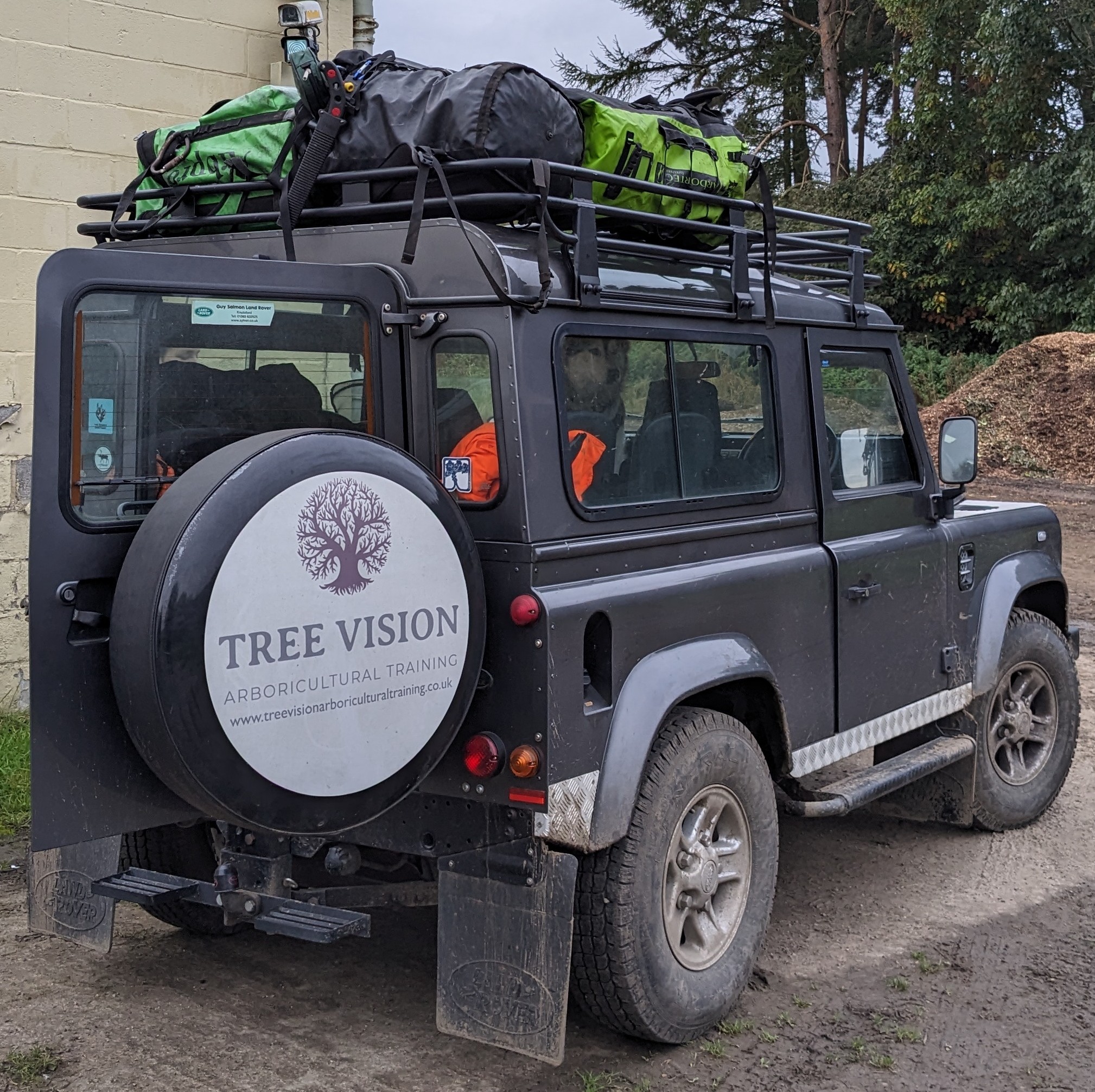 Gallery – Tree Vision