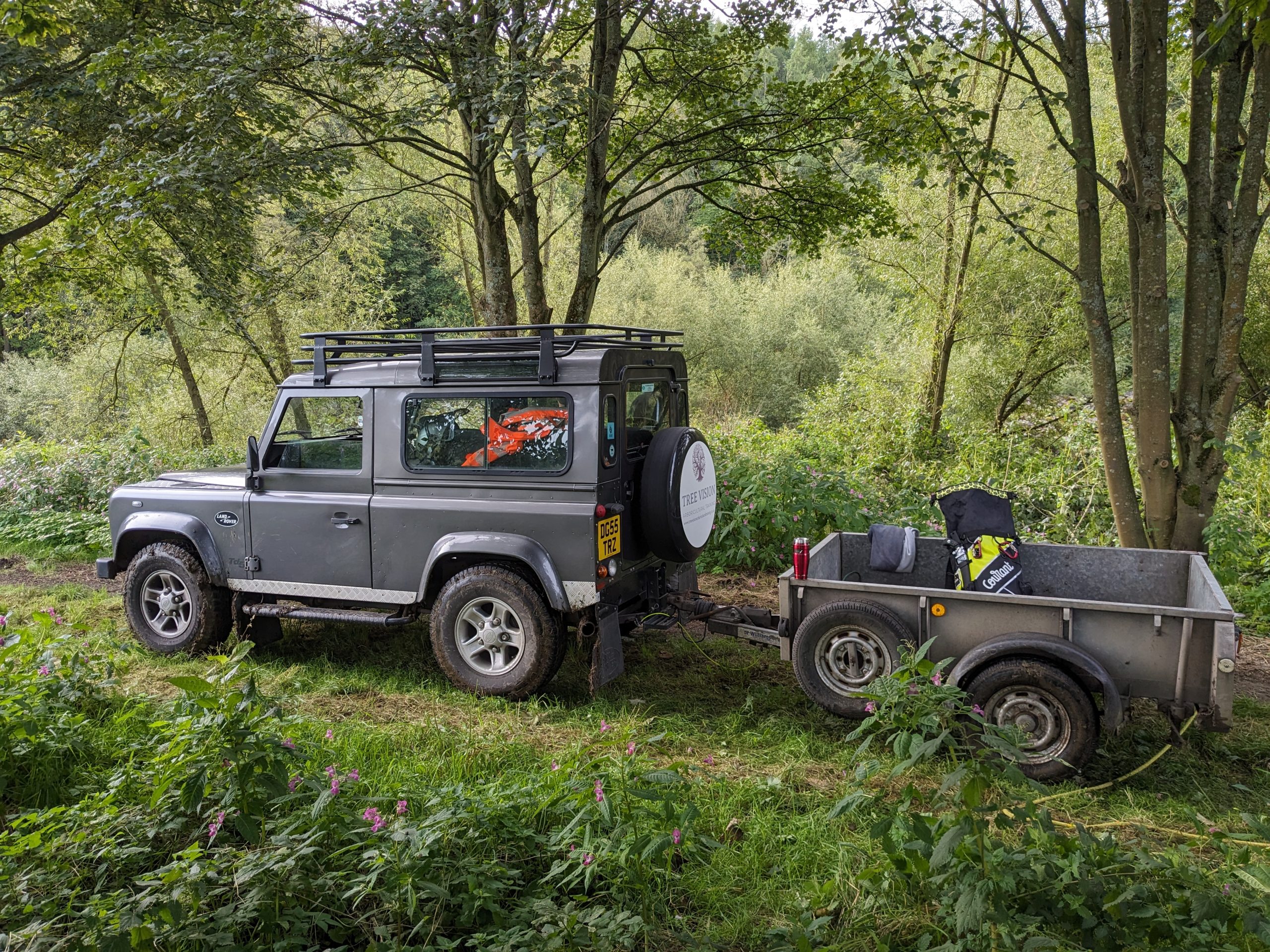 Gallery – Tree Vision