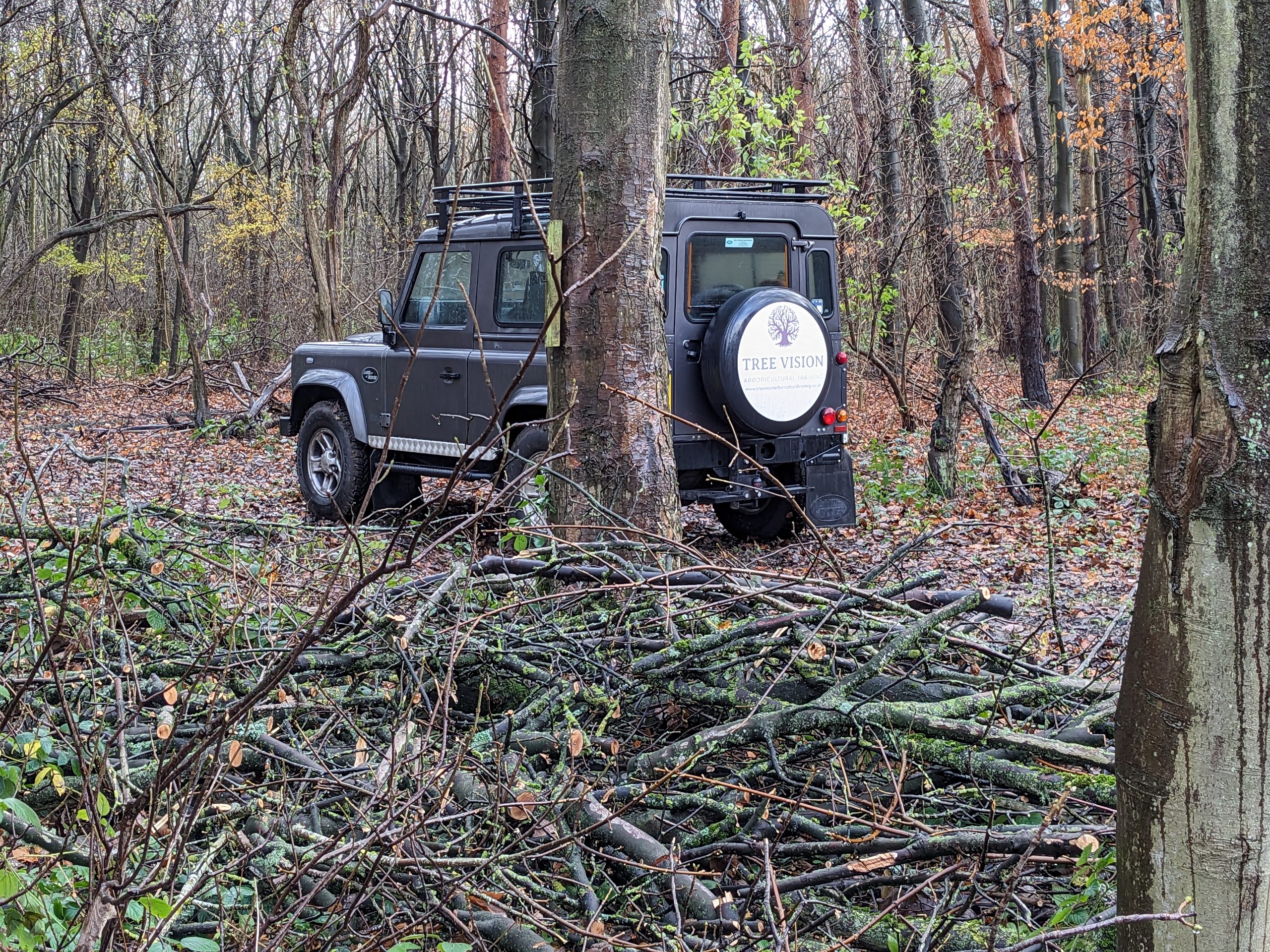 Gallery – Tree Vision