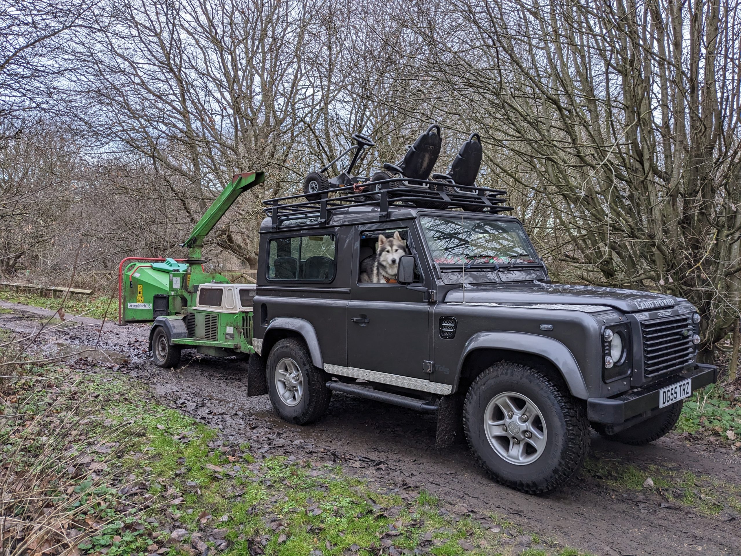 Gallery – Tree Vision