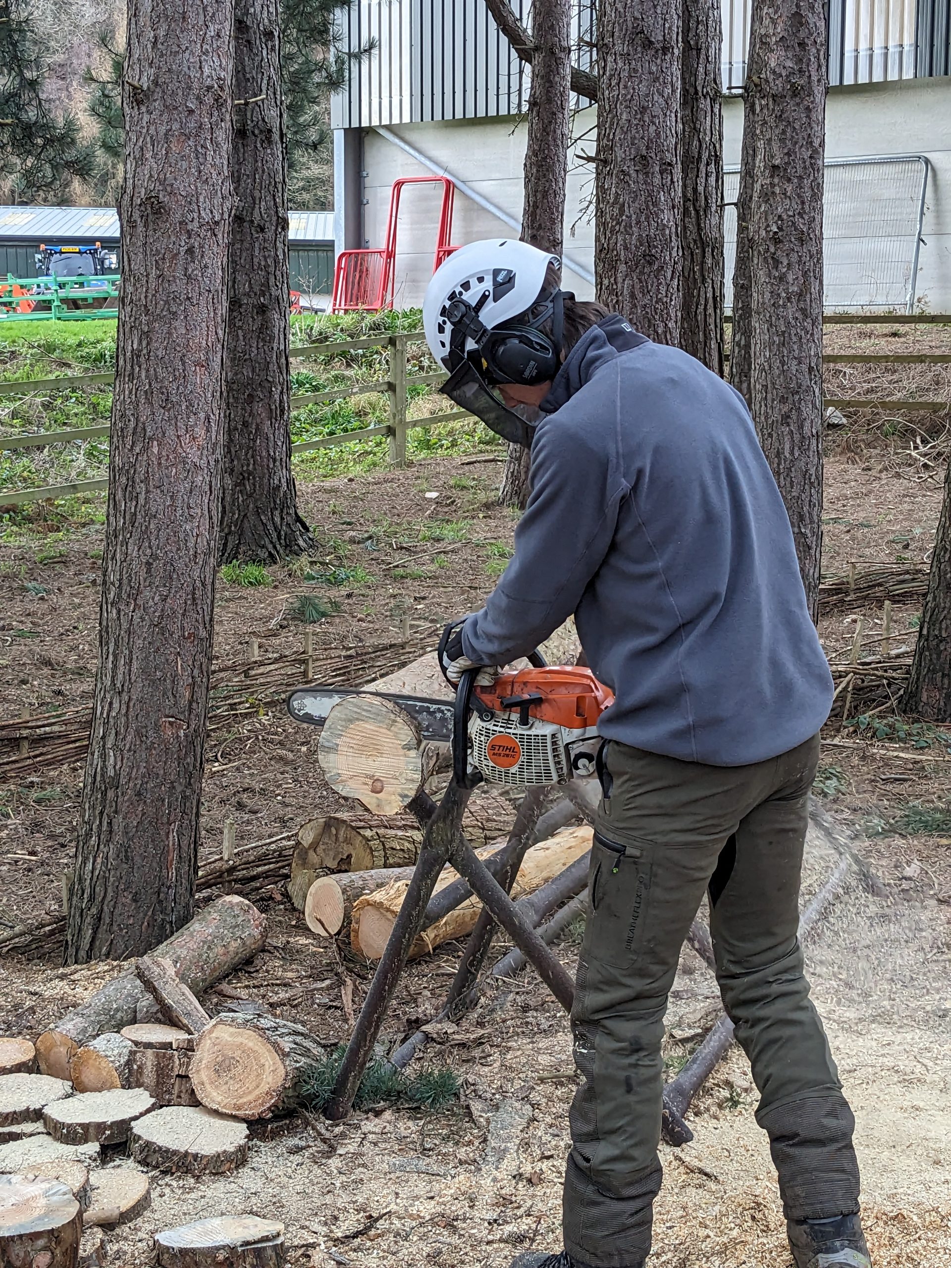 Gallery – Tree Vision